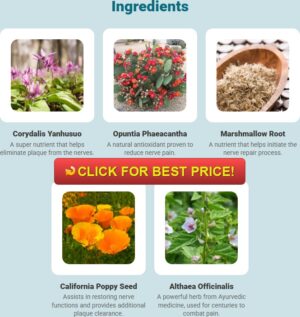 Calm Pro 5 Reviews 2025: Nerve Calm Scam or Legit? Expert Analysis